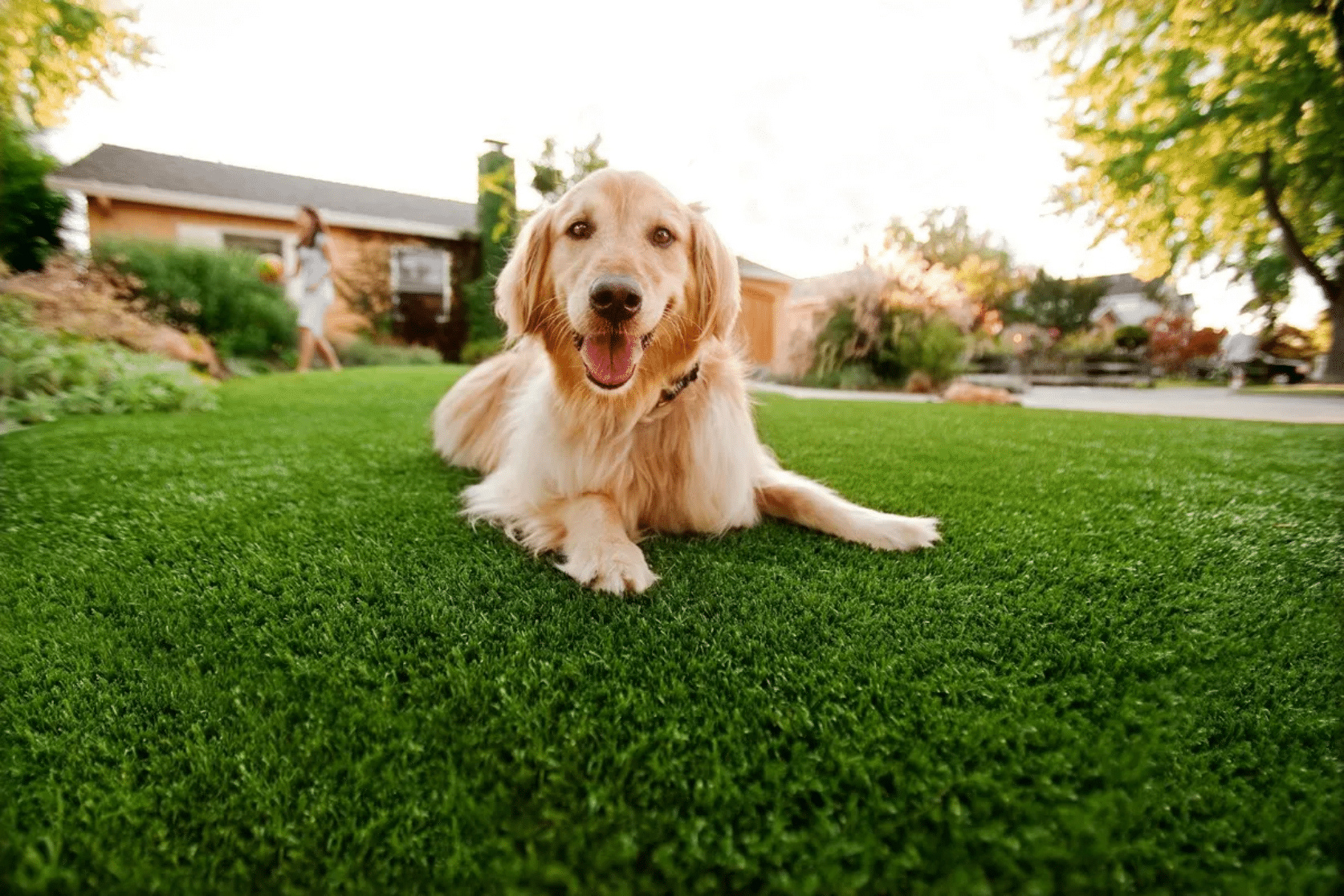How To Install Artificial Turf For Dogs